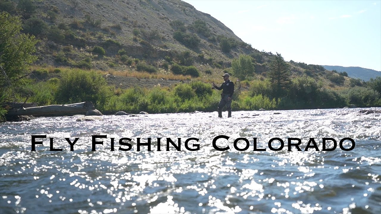 Wandering West Part 3 | Fly Fishing for Rainbow Trout in Colorado – The ...